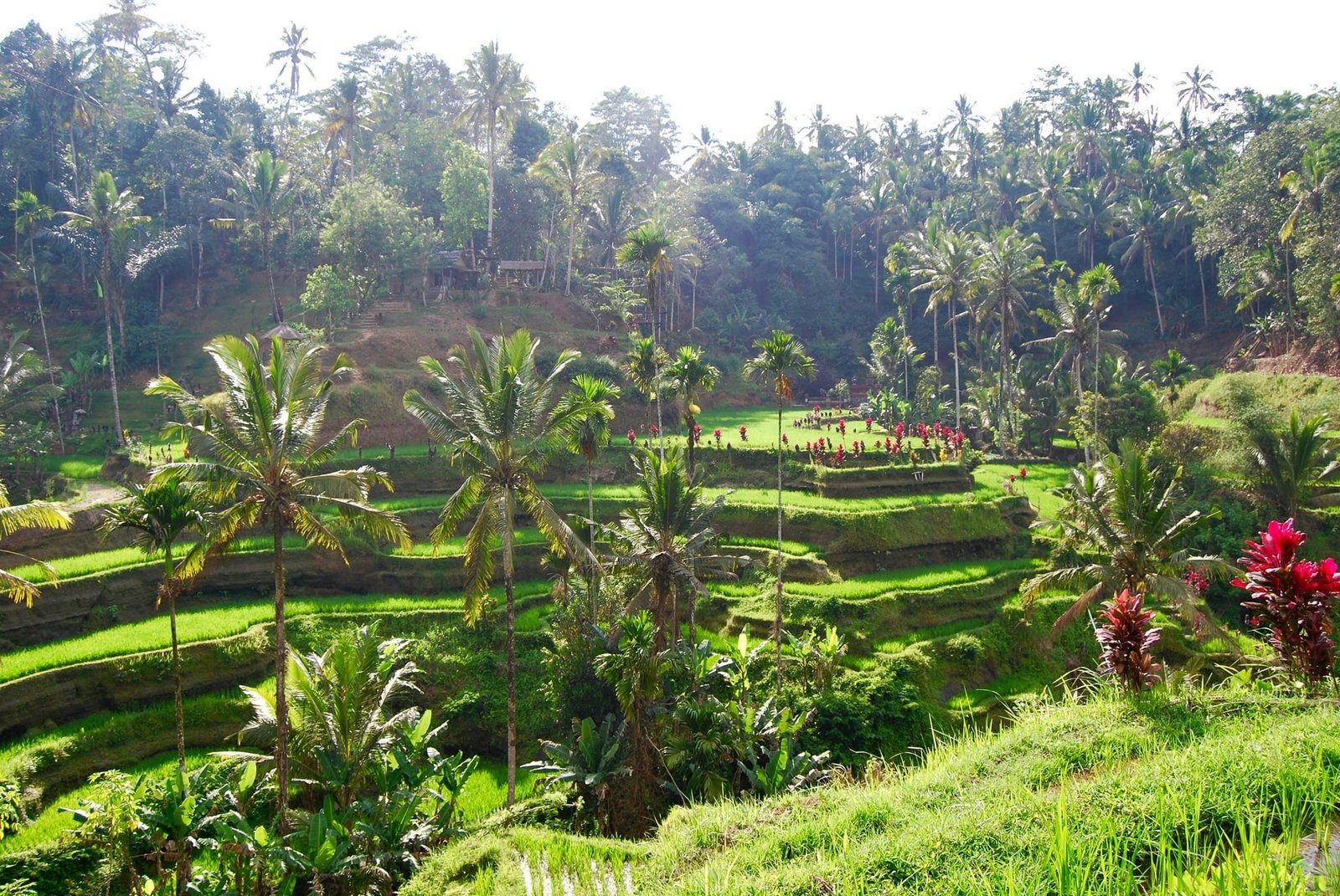 Explore Gianyar: Bali’s Cultural Heart